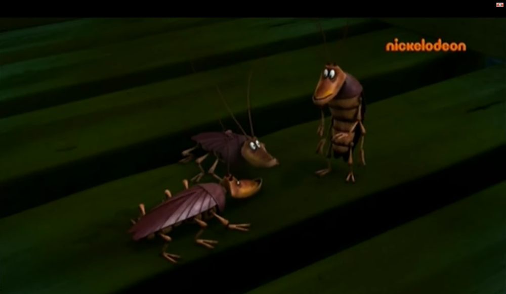 Karaczany Dreamworks Polska Wiki Fandom
