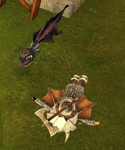 Windwalker | DreamWorks School of Dragons Wiki | Fandom