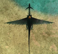 Changewing | DreamWorks School of Dragons Wiki | Fandom