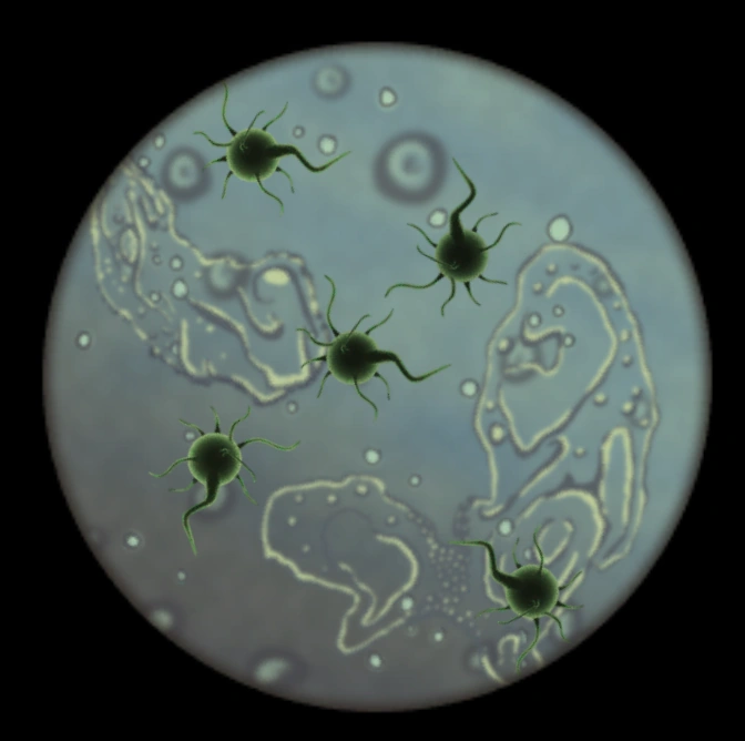 Grimora Solutions | DreamWorks School of Dragons Wiki | Fandom