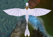 Light Fury | DreamWorks School of Dragons Wiki | Fandom