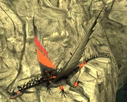 Changewing | DreamWorks School of Dragons Wiki | Fandom