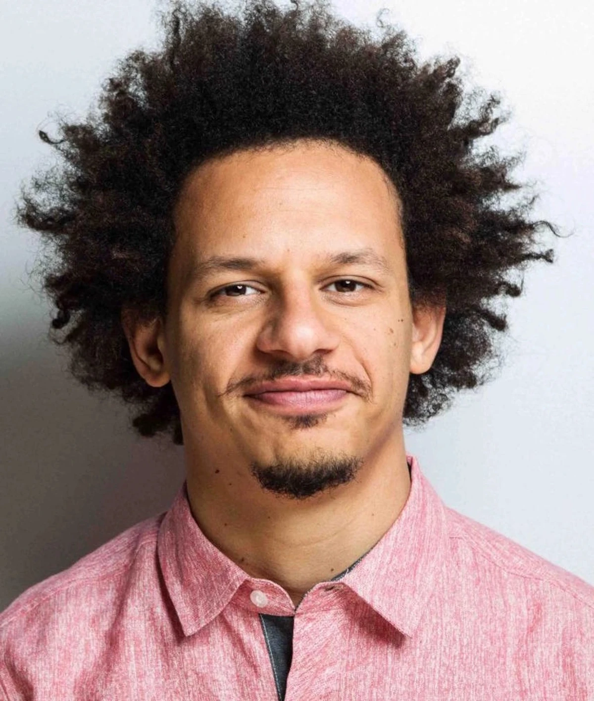 Eric André | Dreamworks Animation Wiki | Fandom