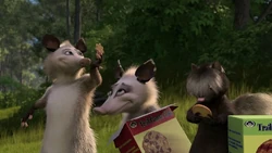 Over The Hedge Ozzie And Heather