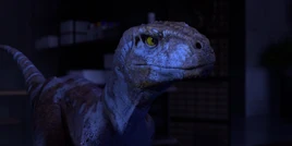 Red | Dreamworks Animation Wiki | Fandom