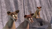 Fossas/Gallery | Dreamworks Animation Wiki | Fandom