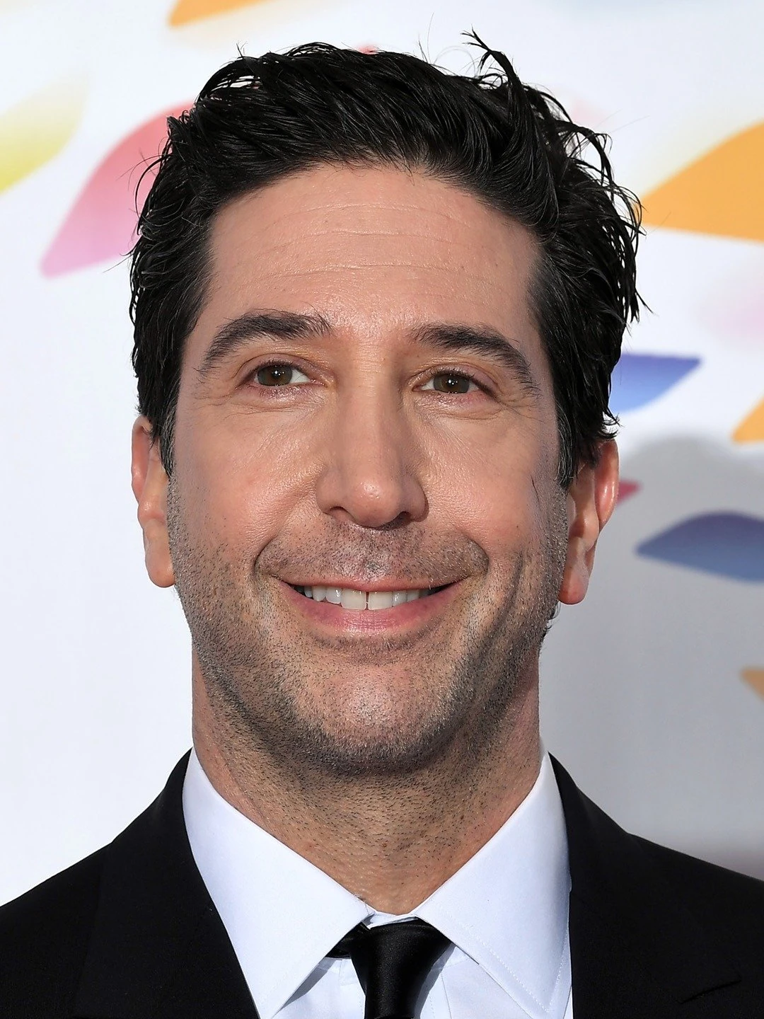 David Schwimmer | Dreamworks Animation Wiki | Fandom