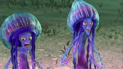 Shark Tales Jellyfish