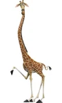 Melman/Gallery | Dreamworks Animation Wiki | Fandom