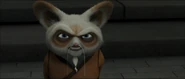 Shifu | Dreamworks Animation Wiki | Fandom