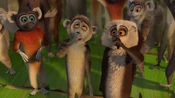 Lemurs | Dreamworks Animation Wiki | Fandom