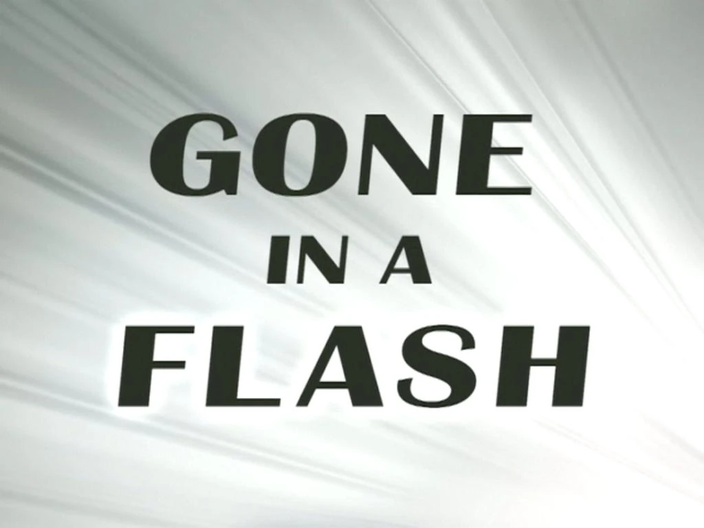 Gone in a Flash | Dreamworks Animation Wiki | Fandom