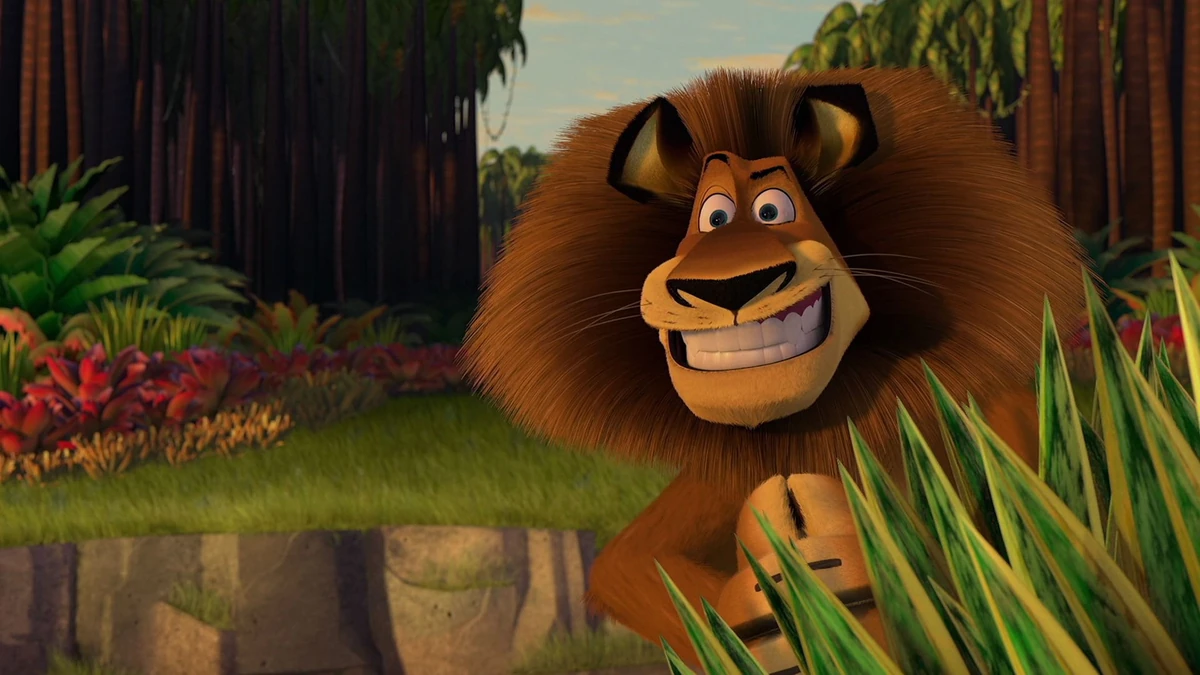 Category:Madagascar galleries | Dreamworks Animation Wiki | Fandom