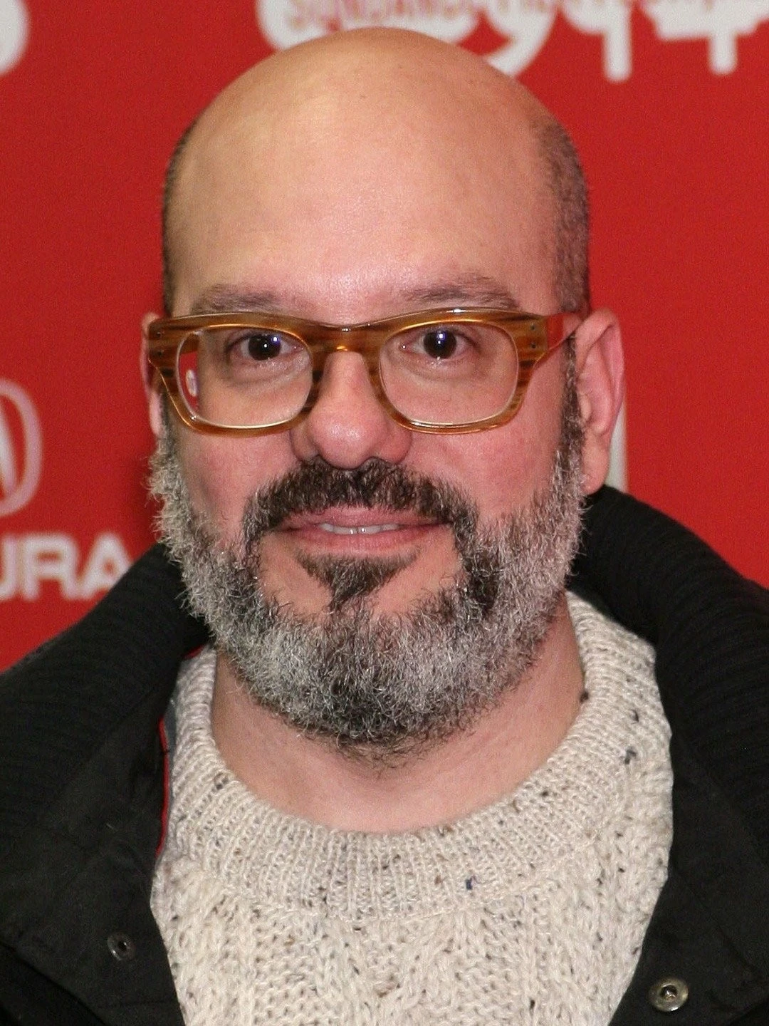 David Cross | DreamWorks Animation Wiki | Fandom