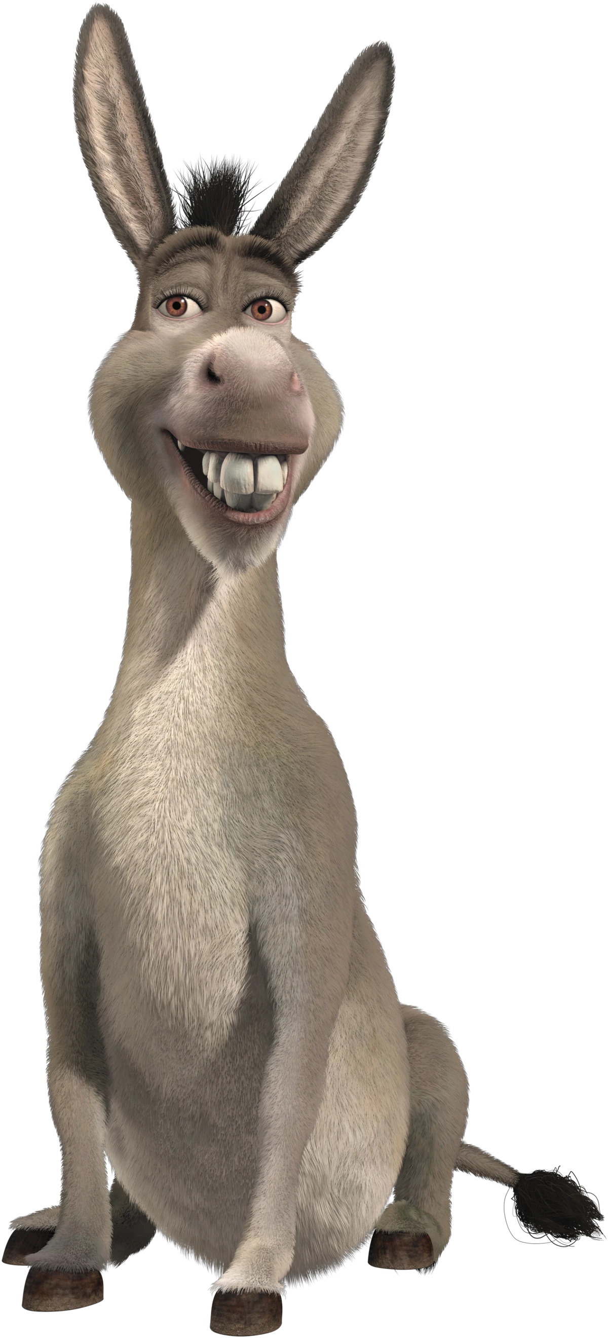 Donkey | DreamWorks Animation Wiki | Fandom