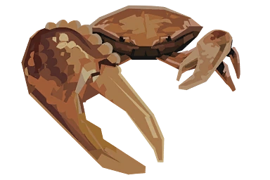 Fiddler Crab | DREDGE Wiki | Fandom