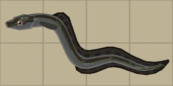 Conger Eel | DREDGE Wiki | Fandom