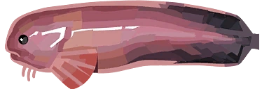 Snailfish | DREDGE Wiki | Fandom