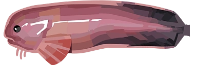 Pez baboso | Dredge Wiki | Fandom