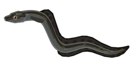Conger Eel | DREDGE Wiki | Fandom
