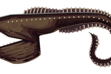 sleeper shark dredge