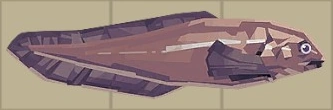 Cusk Eel | DREDGE Wiki | Fandom