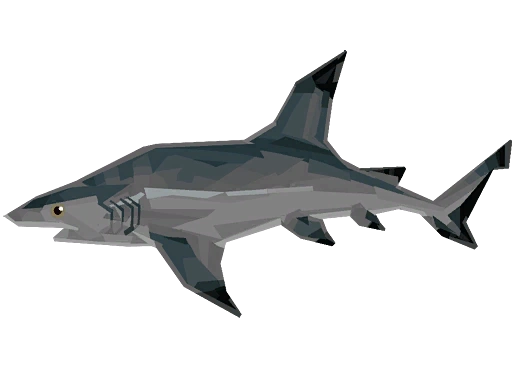Blacktip Reef Shark | DREDGE Wiki | Fandom