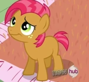 The Cutie Mark Crusaders | My Little Pony Adventure Of Friendship Wiki ...