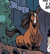 Bad Horse | Horrible Wiki | Fandom