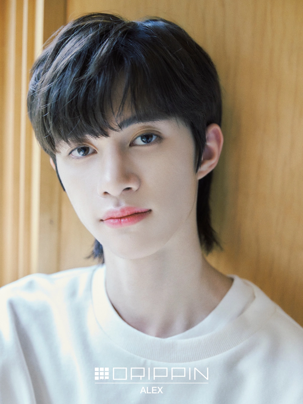 Alex/Gallery | DRIPPIN Wiki | Fandom