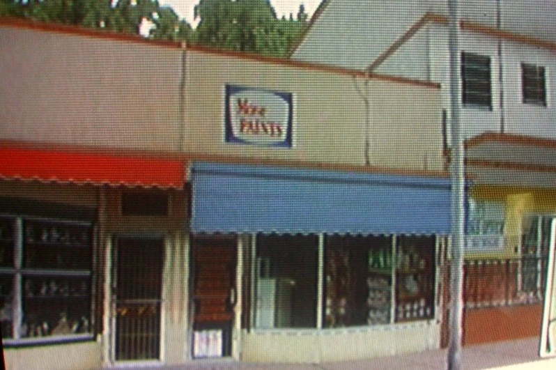 Mone Paints | DRIV3R Wiki | Fandom