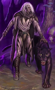 Drizzt Do'Urden | Drizztpedia | Fandom