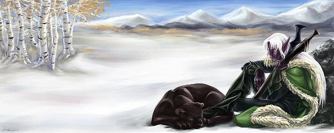 Drizztpedia | Fandom