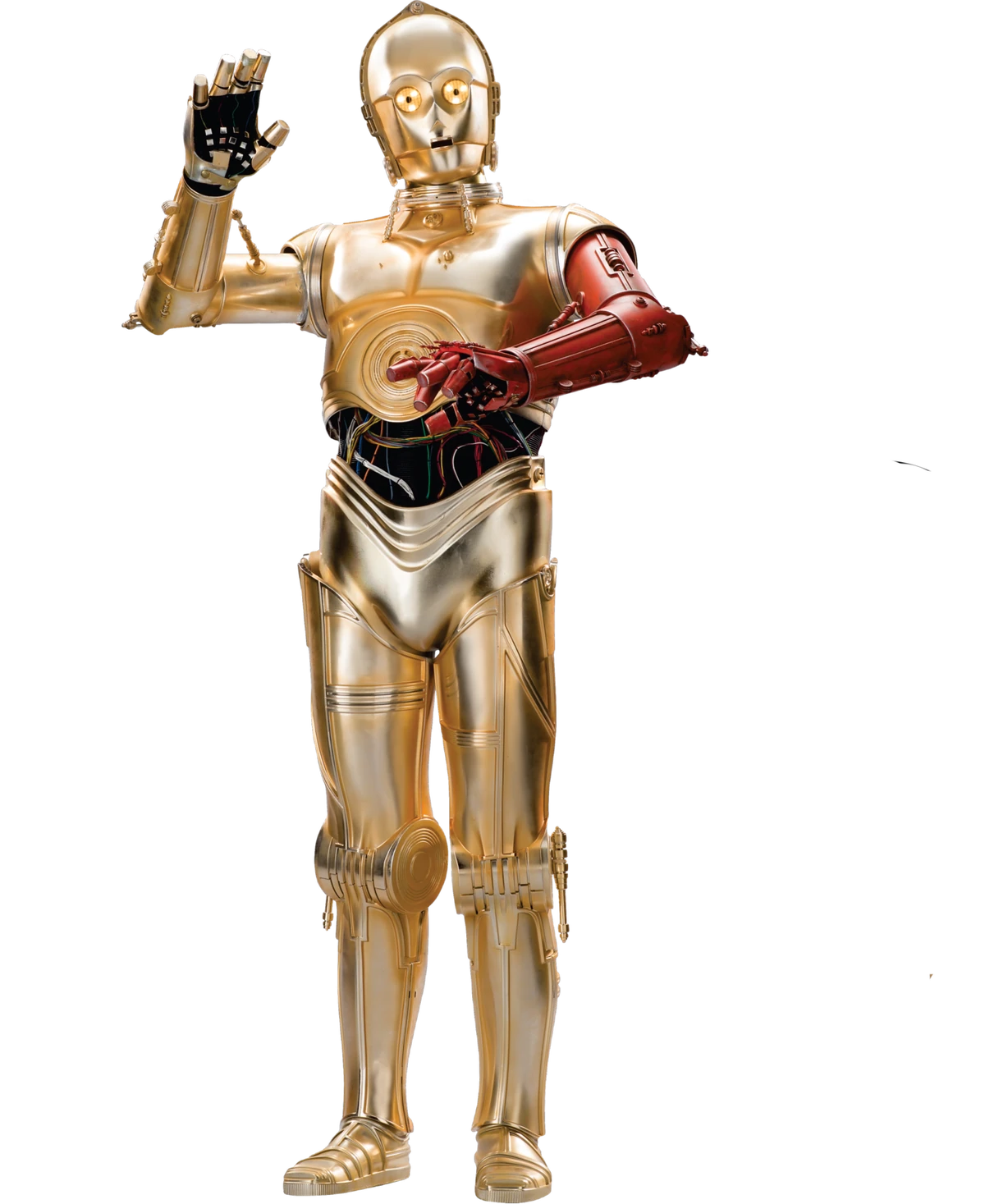 Category:Protocol Droid | Droidapedia Wikia | Fandom