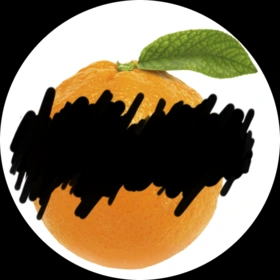 Zollo911 | Drooodle Wiki | Fandom