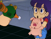Gatchan | Dr Slump Wiki | Fandom
