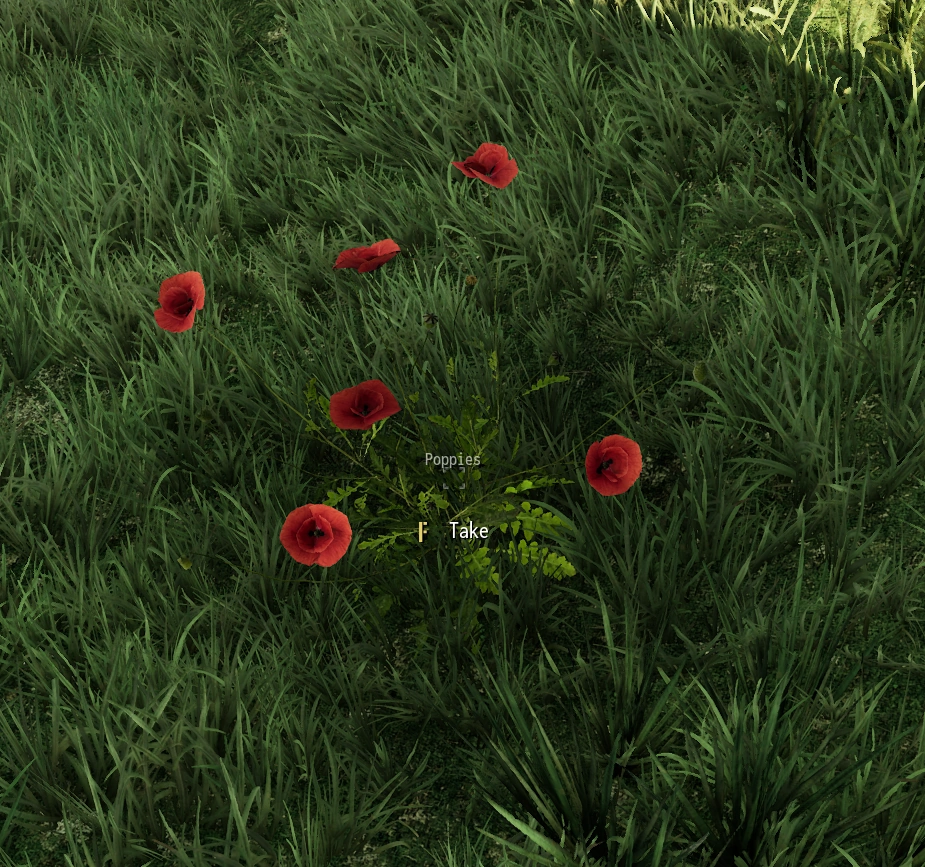 Poppy Flower | Drug Dealer Simulator 2 Wiki | Fandom