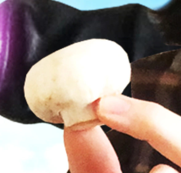The Lone Gubbage Cone | Too Many Doctor Who's Wiki | Fandom