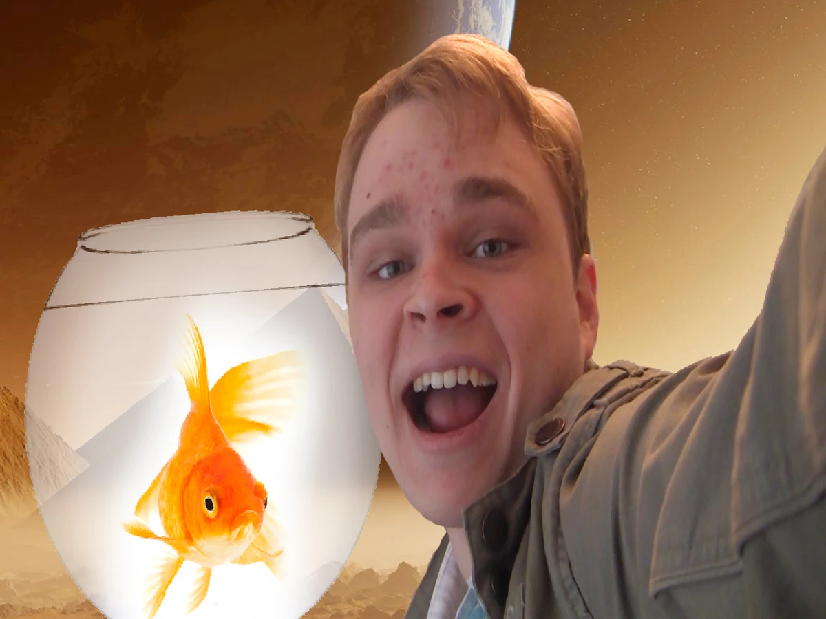 A Fish | Too Many Doctor Who's Wiki | Fandom