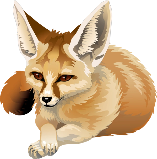 Dry Foxes | Dry Fox Wiki | Fandom