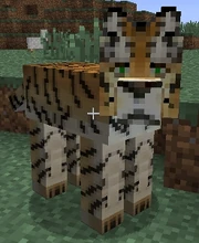 Big Cat | Mo' Creatures Wiki | Fandom