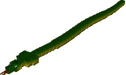 Snake | Mo' Creatures Wiki | Fandom
