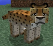 Big Cat | Mo' Creatures Wiki | Fandom