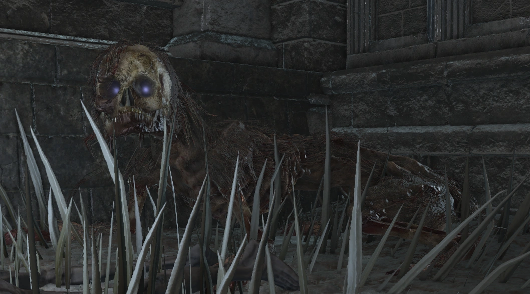 Irithyllian Beast-hound | Ds3 cinders mod Wiki | Fandom