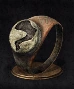Rings | Ds3 cinders mod Wiki | Fandom