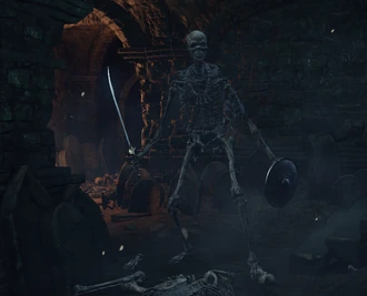 Skeleton | Ds3 cinders mod Wiki | Fandom