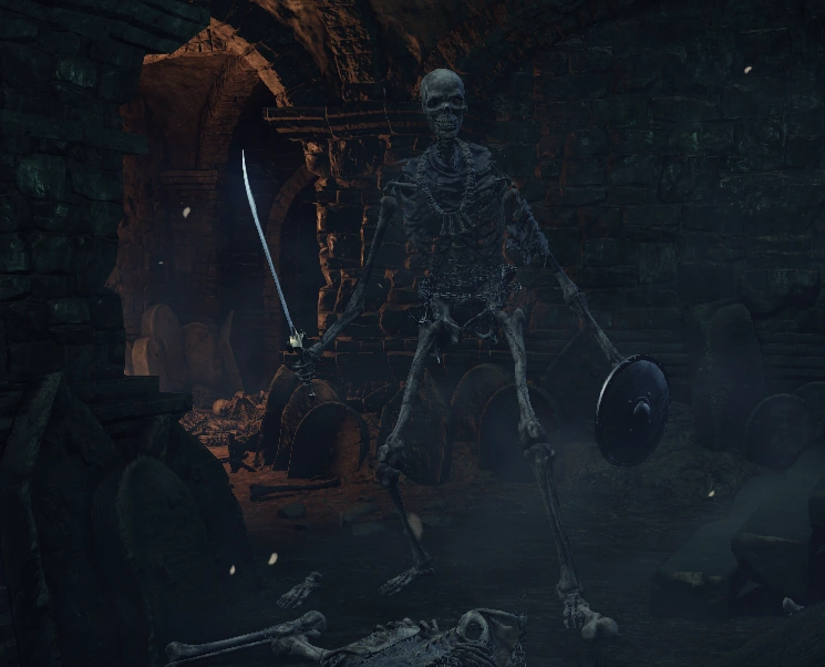 Skeleton | Ds3 cinders mod Wiki | Fandom