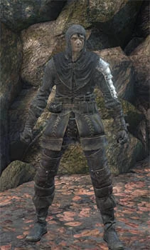 Assassin Set | Ds3 cinders mod Wiki | Fandom