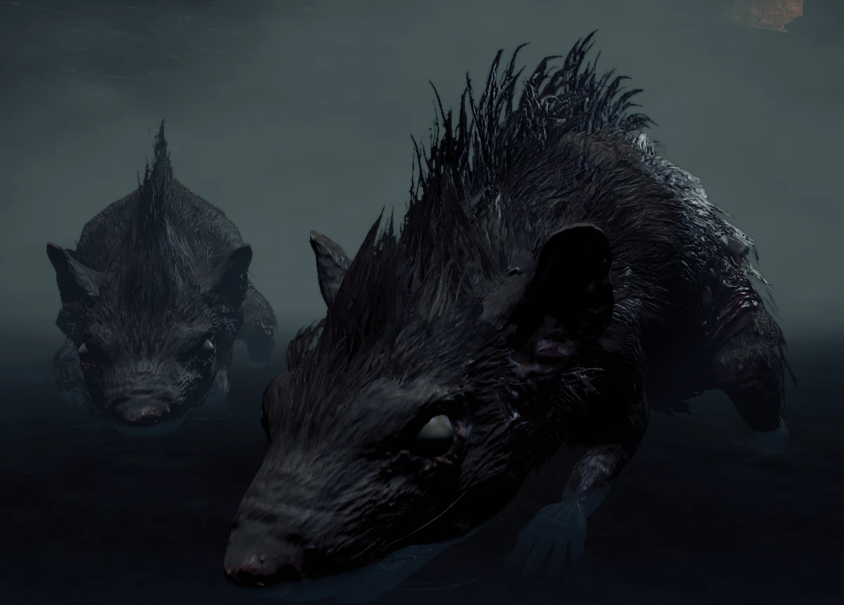 Hound-rat | Ds3 cinders mod Wiki | Fandom