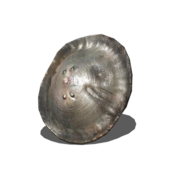 Leather Shield | Ds3 cinders mod Wiki | Fandom